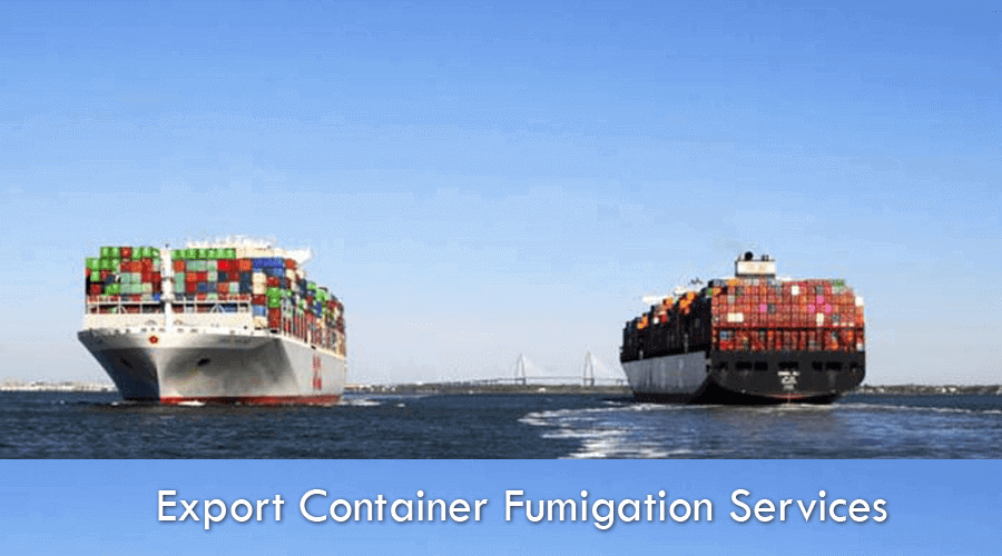 Expert Container Fumigation Services For Safe Exports