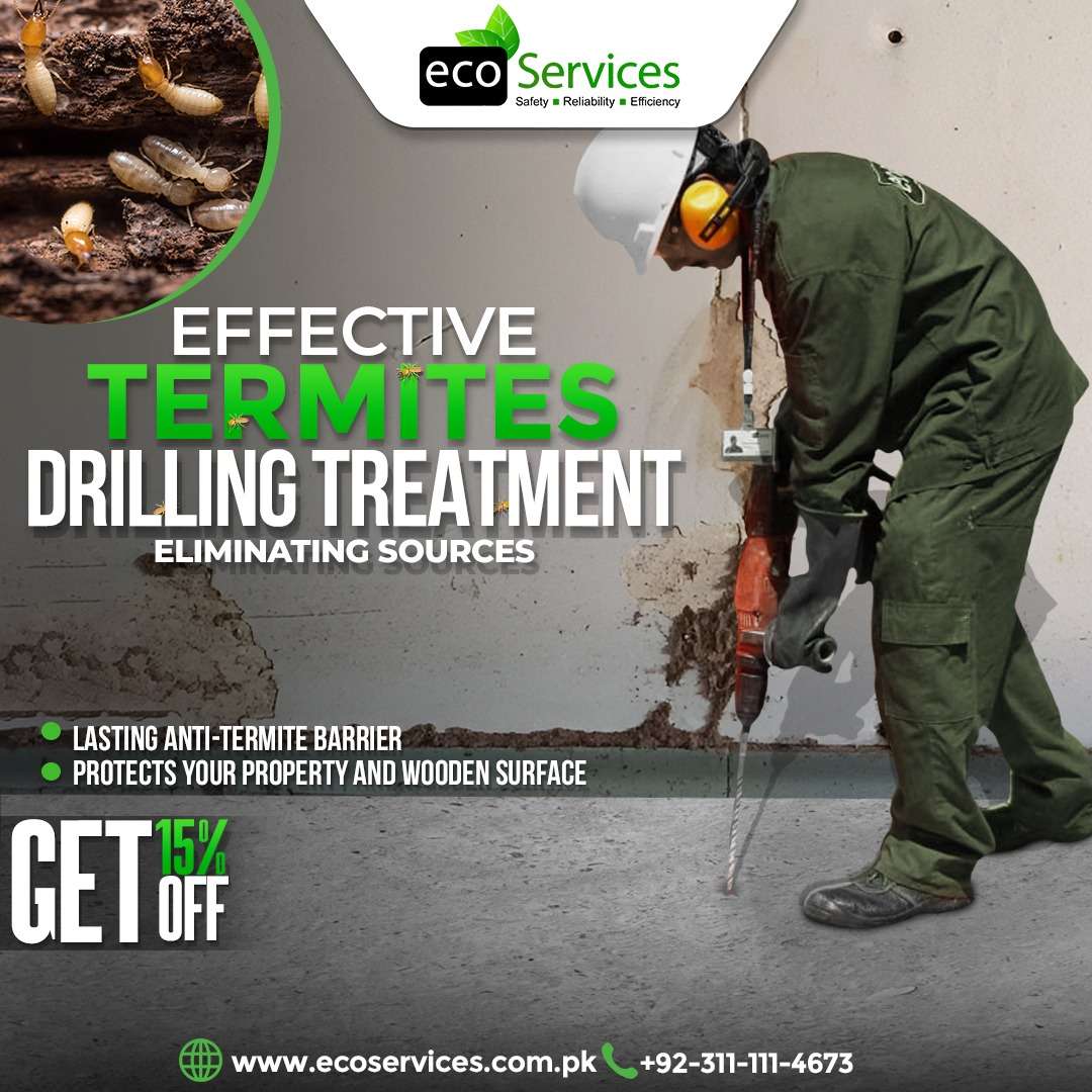 Termite / Deemak Control - ECO Services